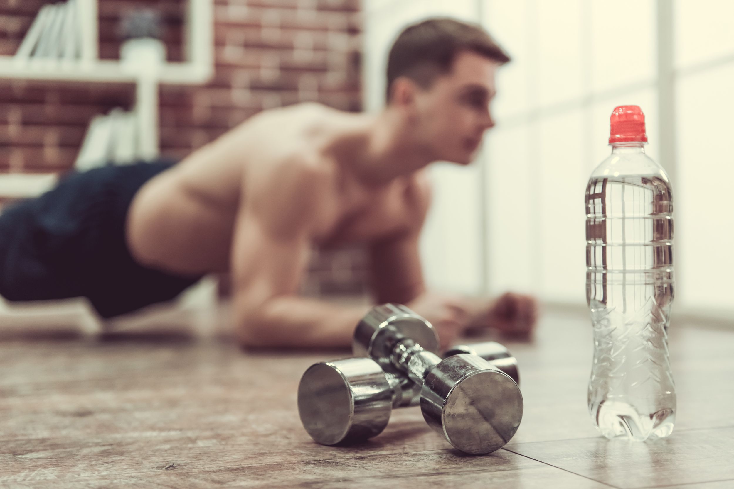 What are the Back Muscles? - SixPackAbs.eu